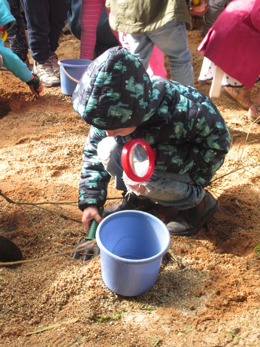 Excursions-Gallery-4-year-old-group-Healesville-Sanctuary - Park ...